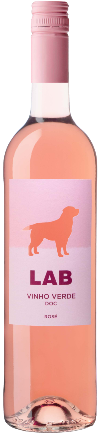 Casa Santos Lima Lab Rose - DMV Distributing